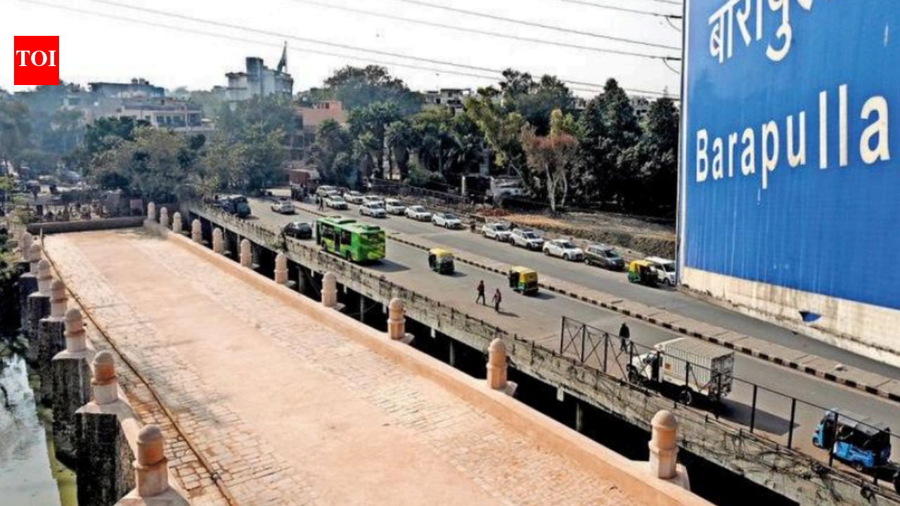 Delhi’s 400-year-old Barapullah Bridge to reopen after major restoration