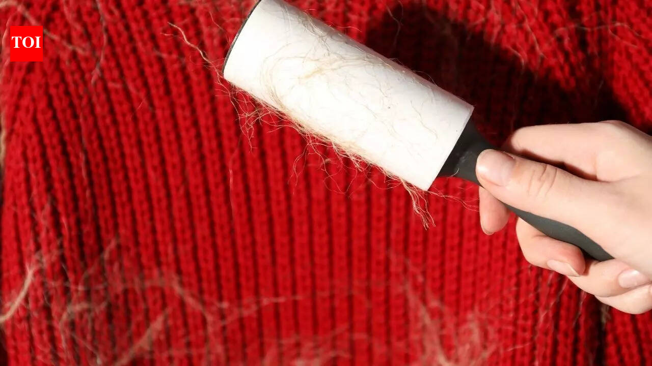 How to remove lint from woollen clothes at home: 5 easy DIY hacks for ...