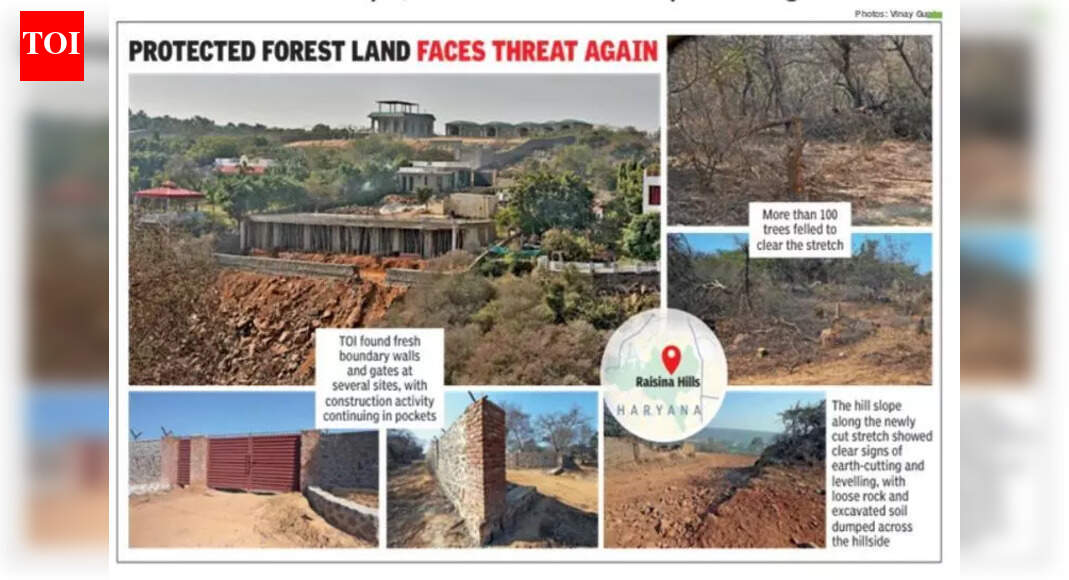 Road carved, 100 trees axed & walls built: Aravalis abuzz with ...