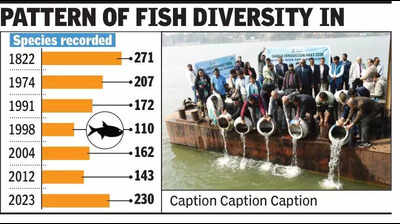 CIFRI records 230 fish speciesin Ganga, highest in 50 years | Kolkata ...