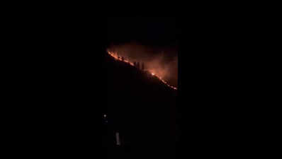Long dry spell sparks forest fires in HP, 104 incidents reported ...