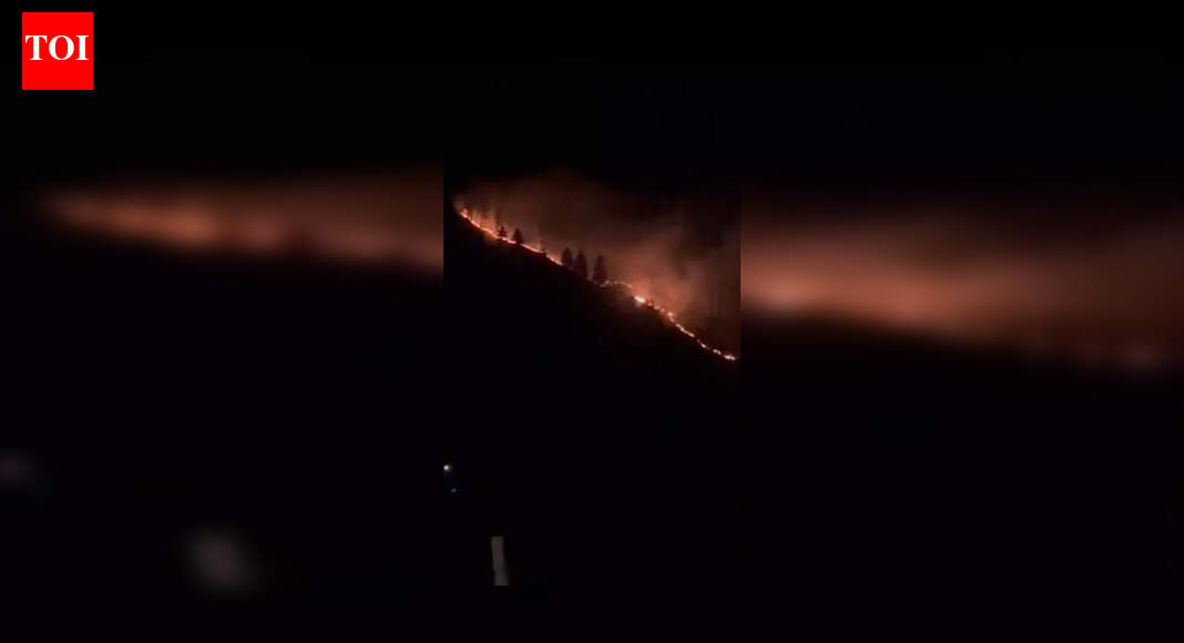 Long dry spell sparks forest fires in HP, 104 incidents reported ...