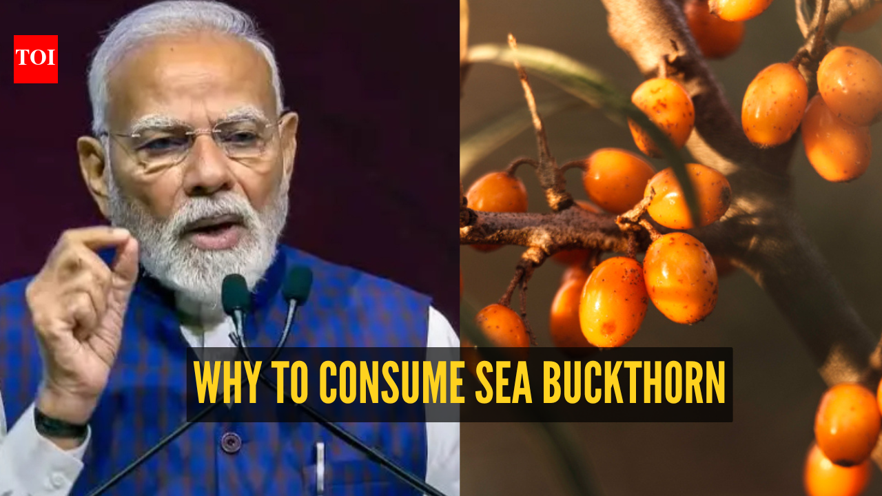 What is Sea Buckthorn that PM Narendra Modi recommends young people ...