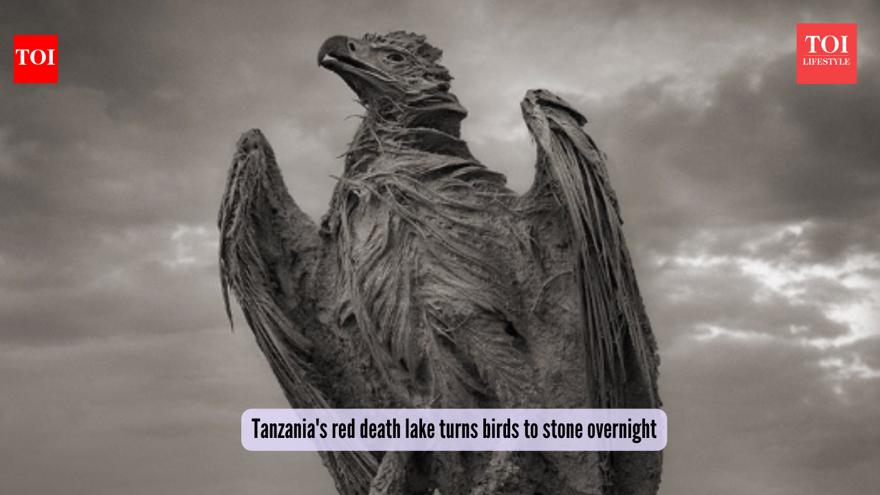 Pink flamingo paradise or death trap? Tanzania's red death lake that ...