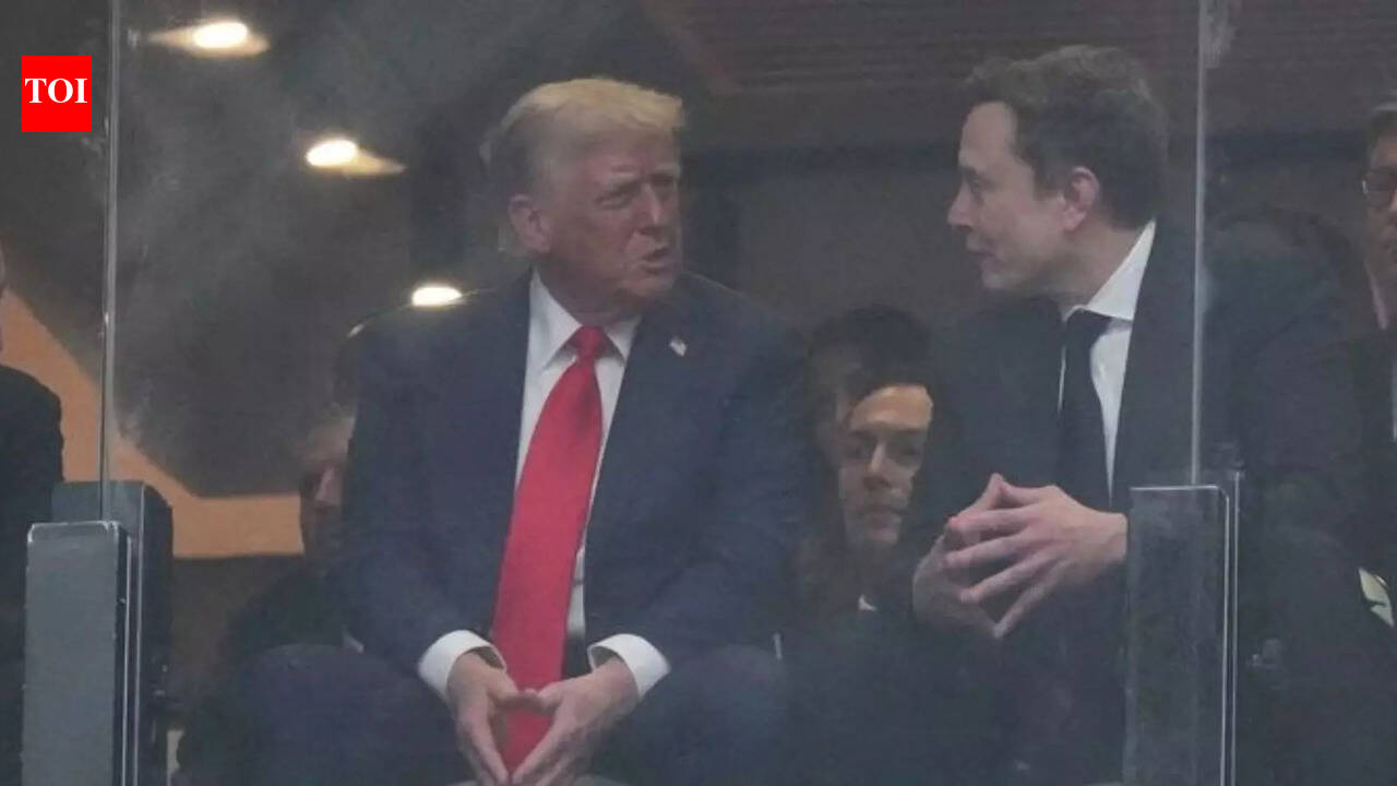 Tesla Bull Ross Gerber is back to blaming Elon Musk, this time his ...