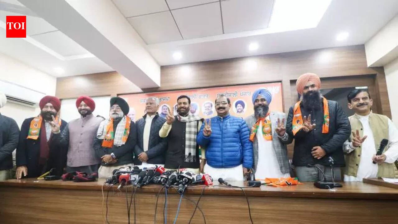 Jagmeet Brar, ex-Mann aide, Akali rebel enter BJP fold | Chandigarh ...