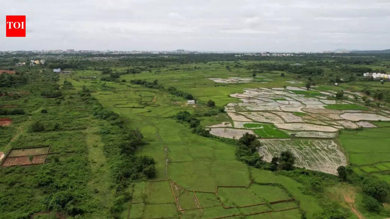 BDA progresses in TP scheme no. 8 covering Andharua, Daspur ...
