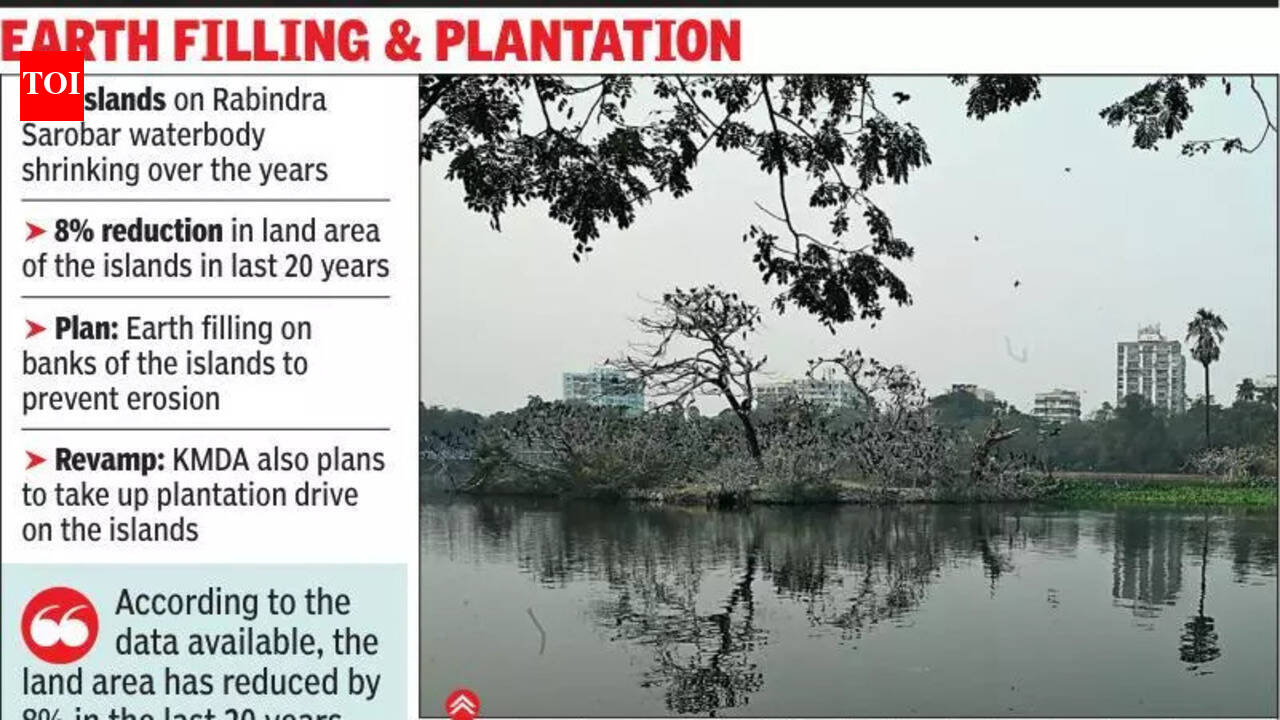 Earth-filling, planting trees: KMDA plans to save Lake’s eroding ...