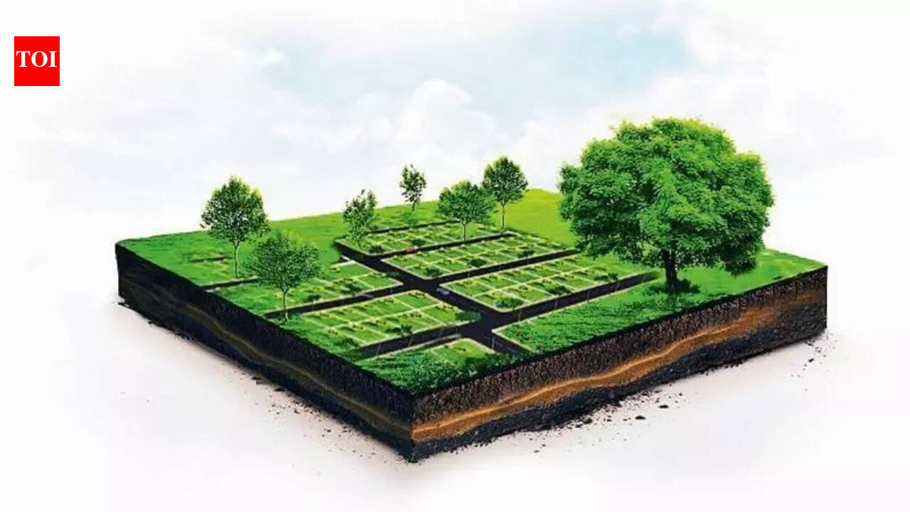 State to issue TDRs for acquiring land parcels near water bodies ...