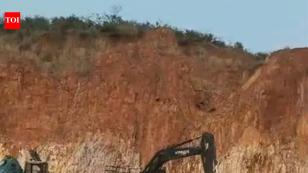 NGT forms team to probe illegal mining plaint in Jajpur dist ...