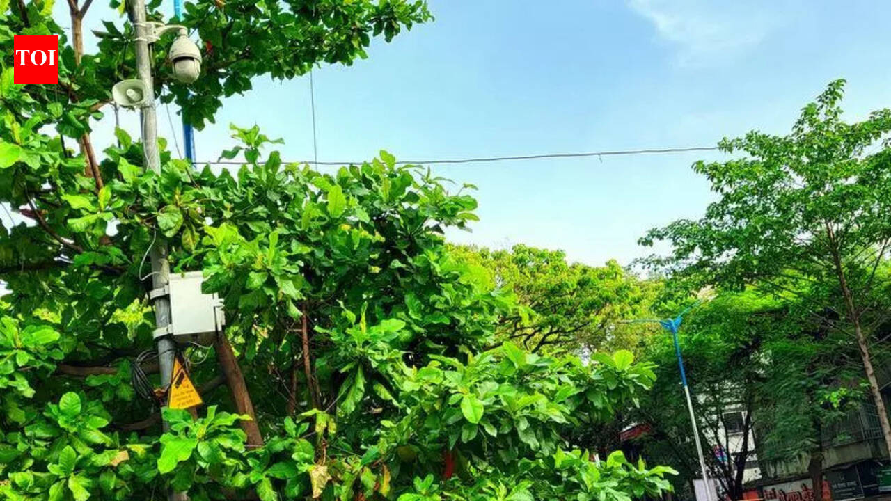 Vehicular movement curbs on Deccan, Karve Road & Ganeshkhind Road ...