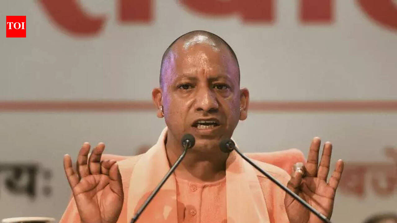 Ayush centres to turn into research hubs soon | Lucknow News - The ...