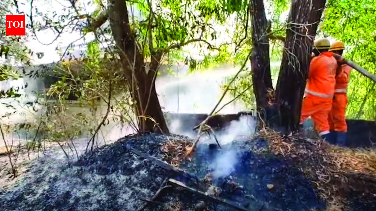 Third fire on hill at Raia raises suspicion of sabotage | Goa News ...