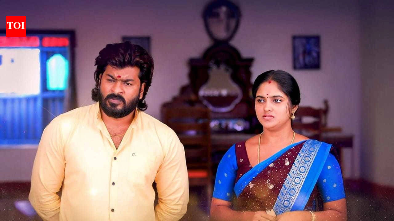 Chinna Marumagal: Everything about the family drama starring Navin ...