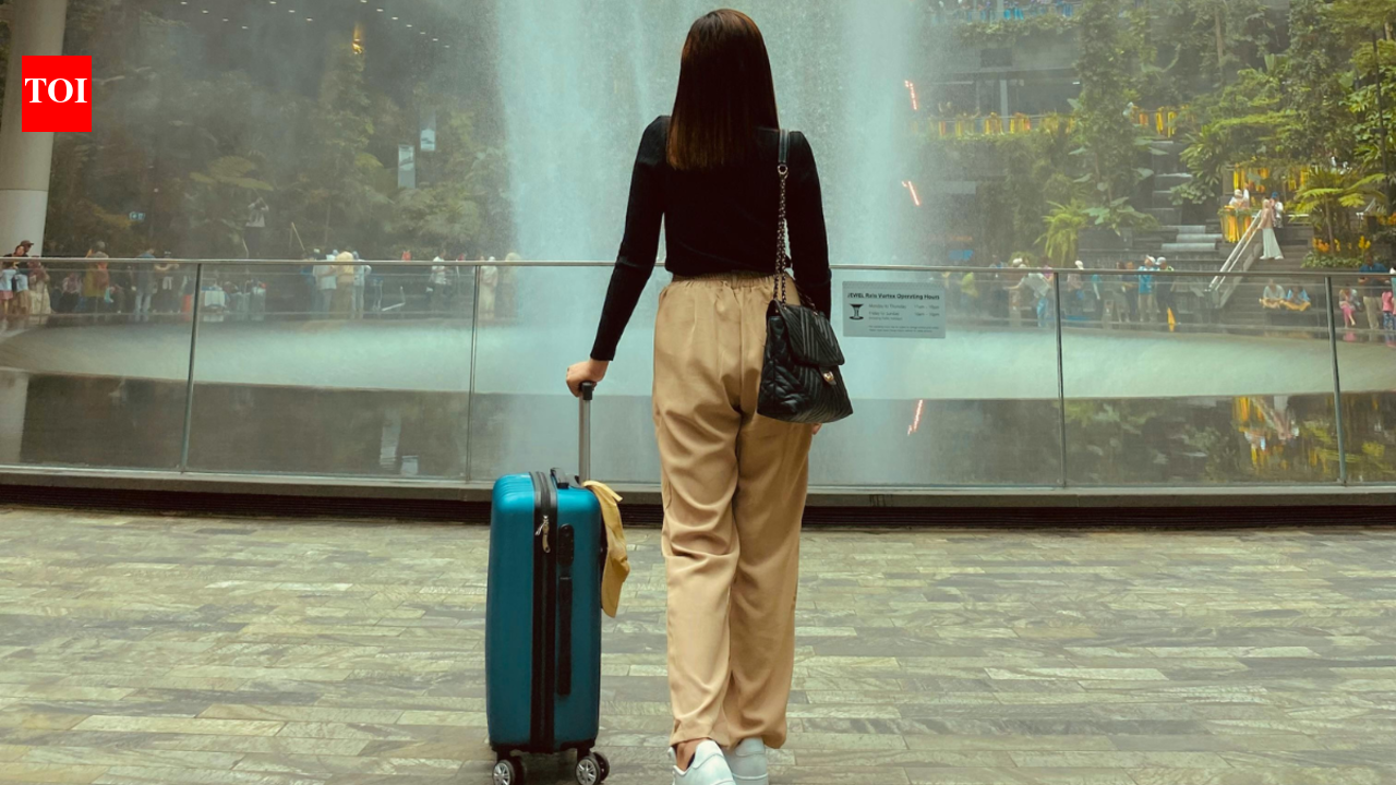 Expandable Trolley Bags That Handle Overpacking Easily - The Times Reviews
