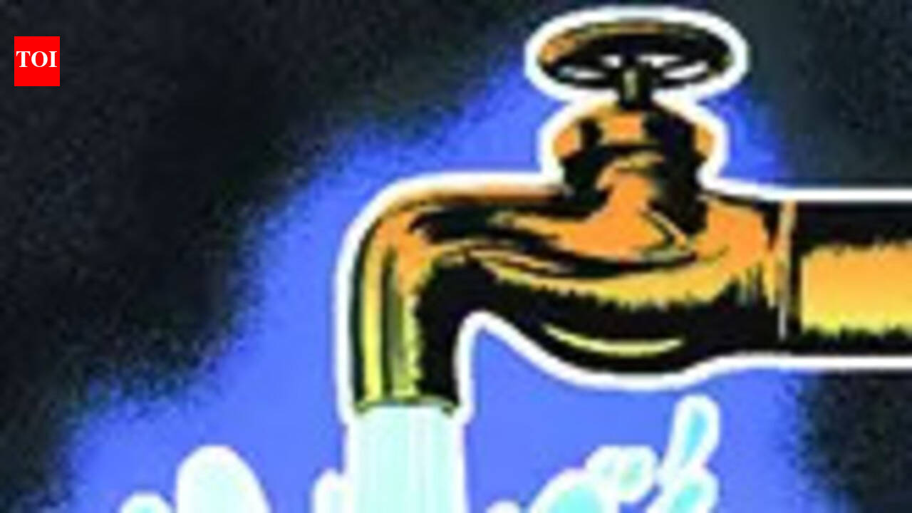Solar power plant to fuel Selaulim water facility on pilot basis | Goa ...