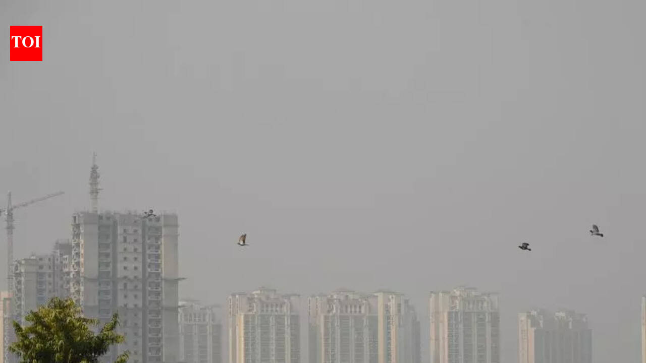 AQI ‘very poor’ for second day on trot in Noida, rain likely tomorrow ...