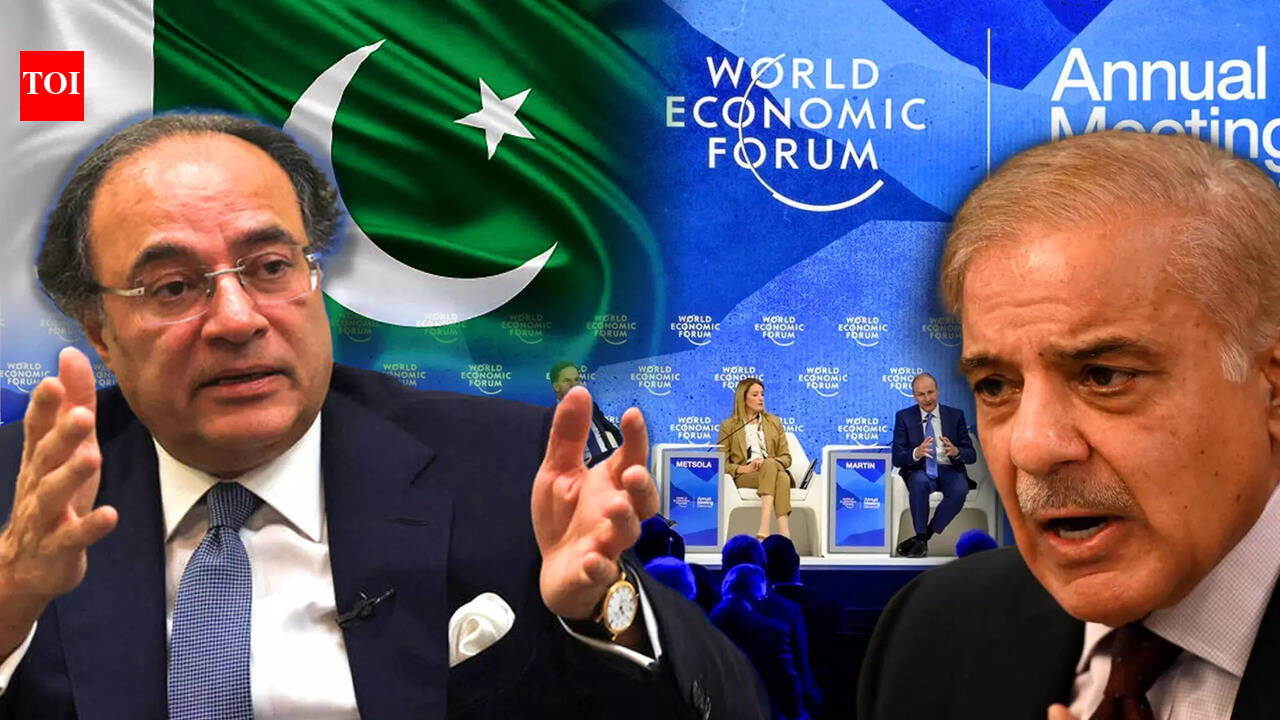 At Davos, Pakistan Seeks More Funds, PM Sharif Calls For Reforms, While ...