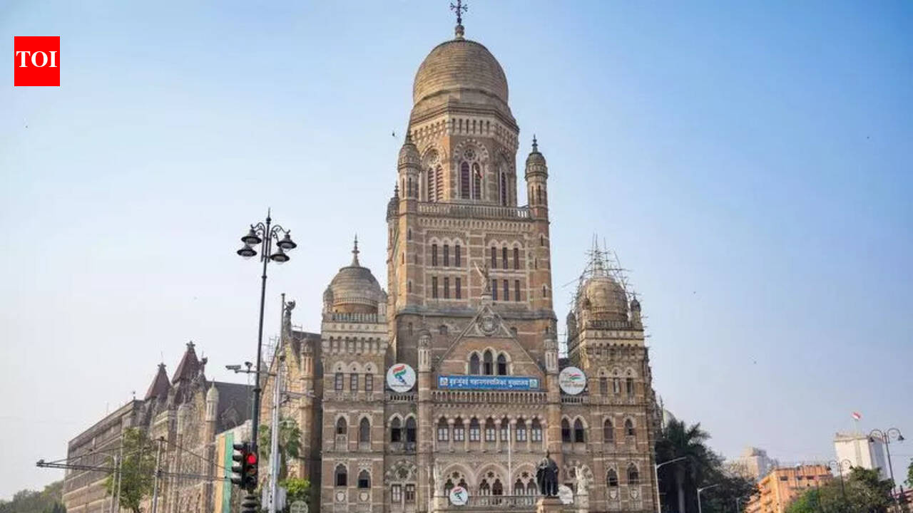 Dalit winner MIM BMC group leader | Mumbai News - The Times of India