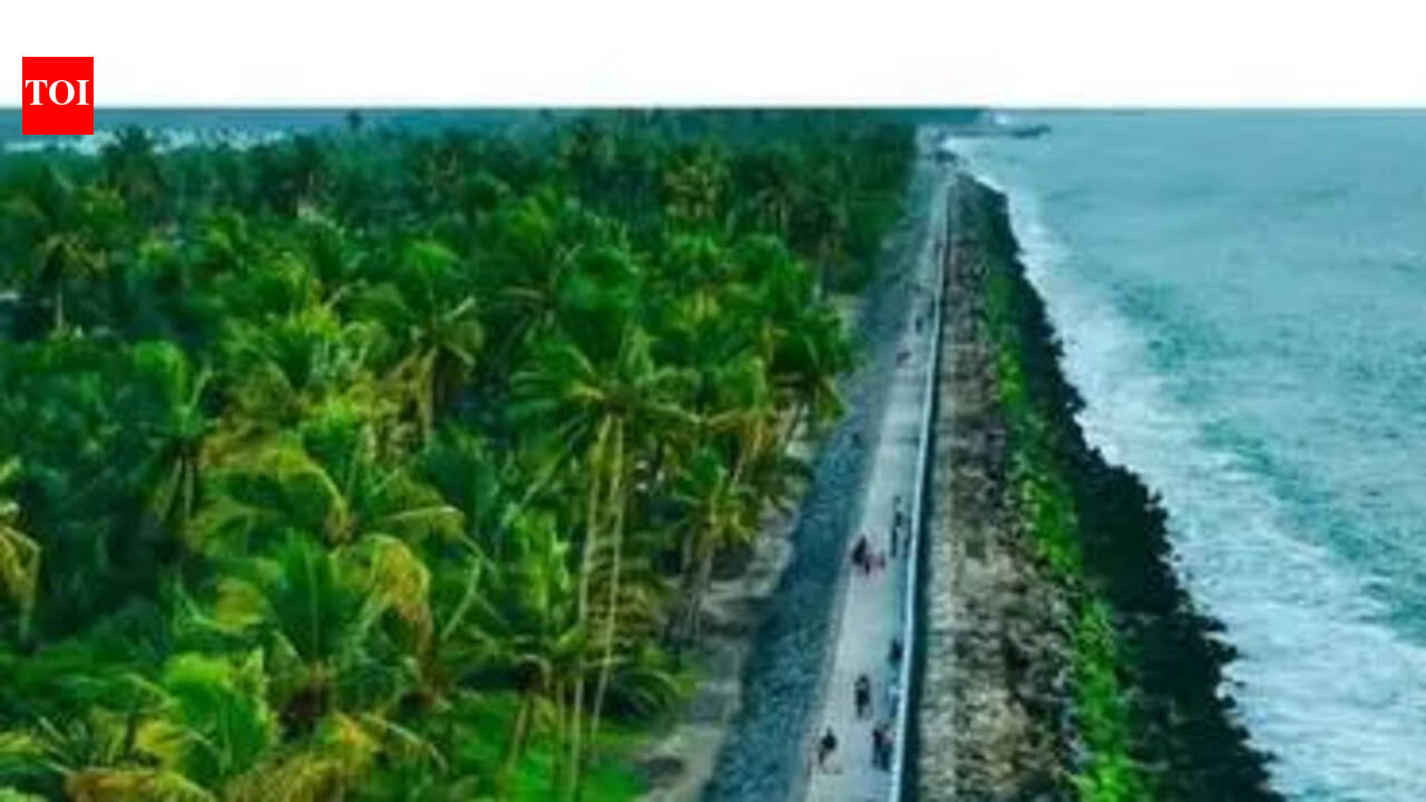 Chellanam seawall Phase II gets nod | Kochi News - The Times of India