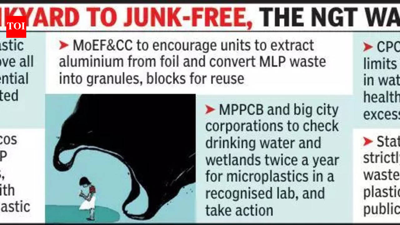 Plastic purge: Cleanup Kabadkhana & shift it to green zones, orders NGT ...