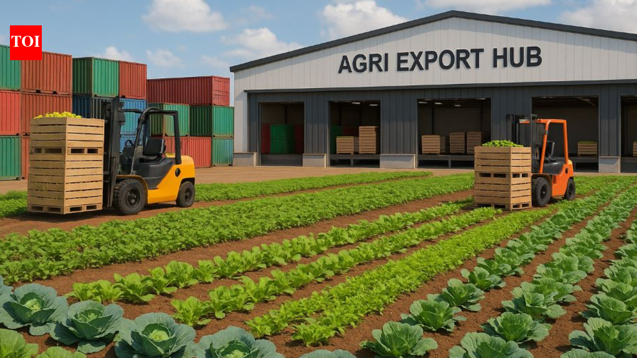 Karnataka-based Innova Food Park to set up 30-acre agriculture export ...