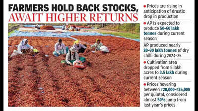 Chilli prices surge in AP on strong export demand, limited arrivals ...