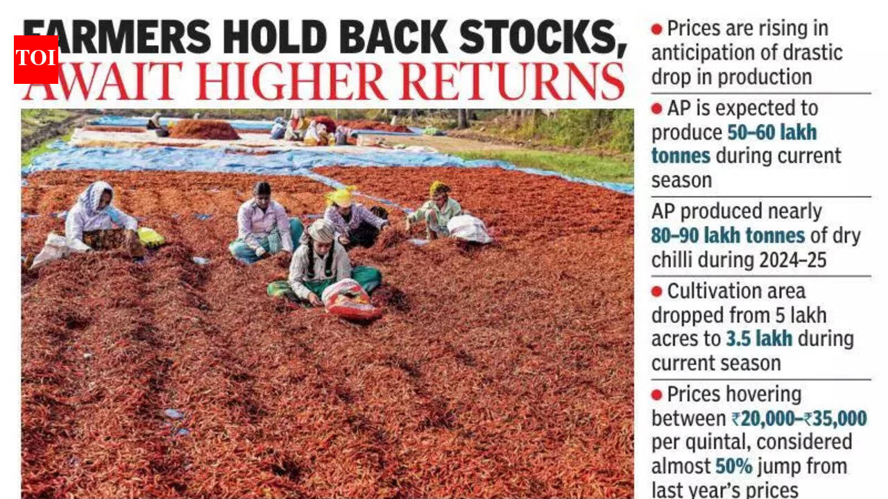 Chilli prices surge in AP on strong export demand, limited arrivals ...