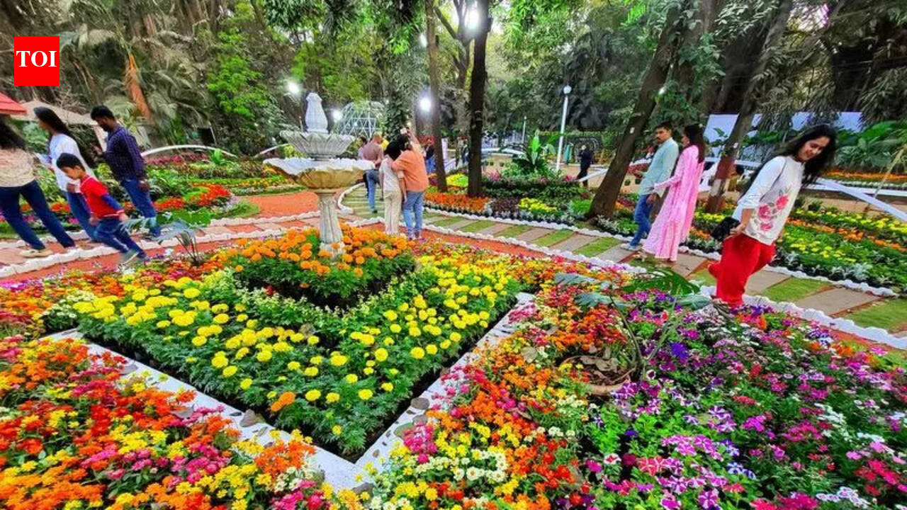 From air plants to ‘kitchen ikebana’, Empress Garden Flower Show ...