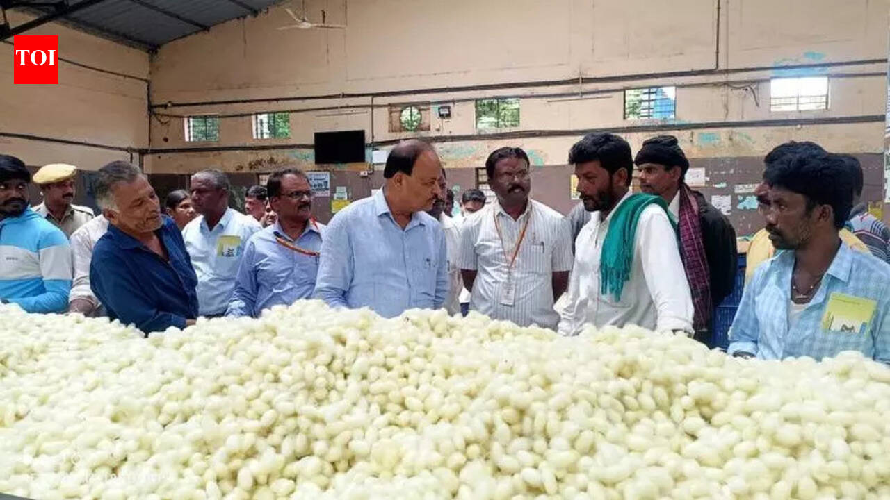 Cocoon prices rise as cold wave cuts supply in Mysuru, Chamarajanagar ...