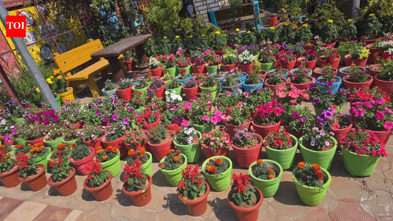 Bhanjanagar police station beautified with garden | Bhubaneswar News ...