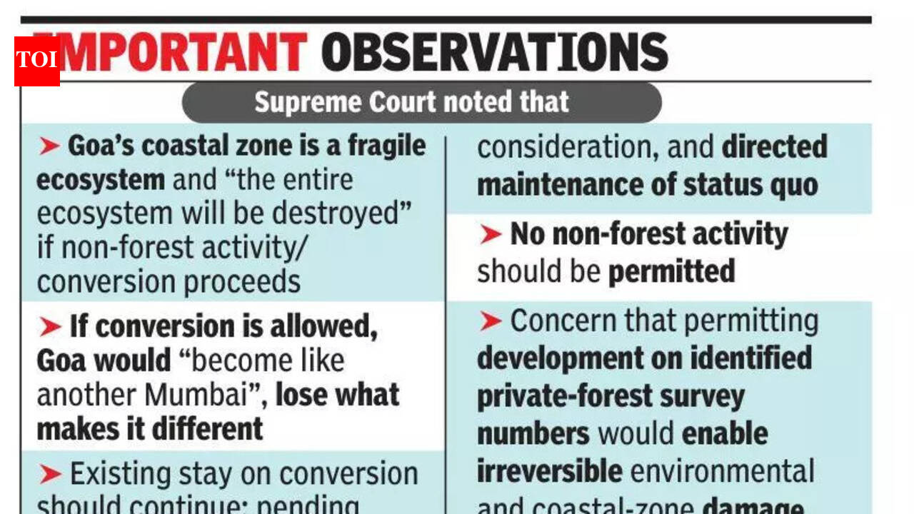 SC: Any unchecked devpt could turn Goa into ‘another Mumbai’ | Goa News ...