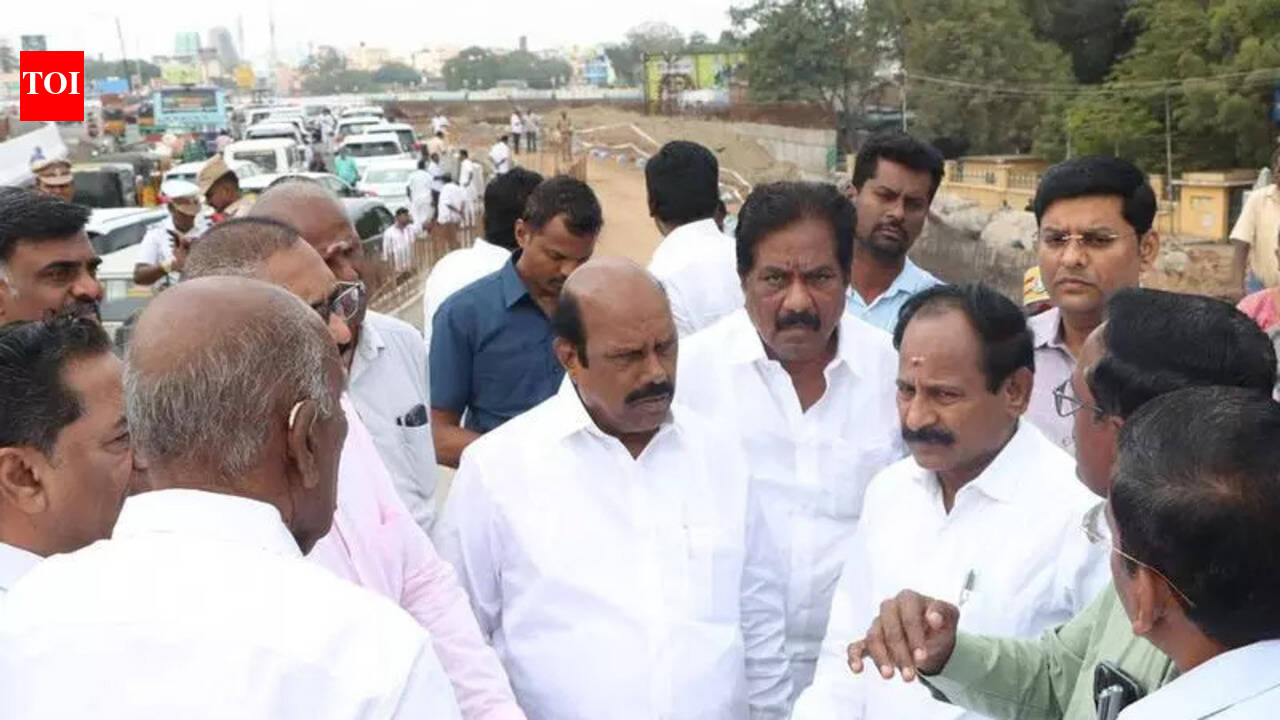 CM to open section of Goripalayam flyover in Feb | Madurai News - The ...