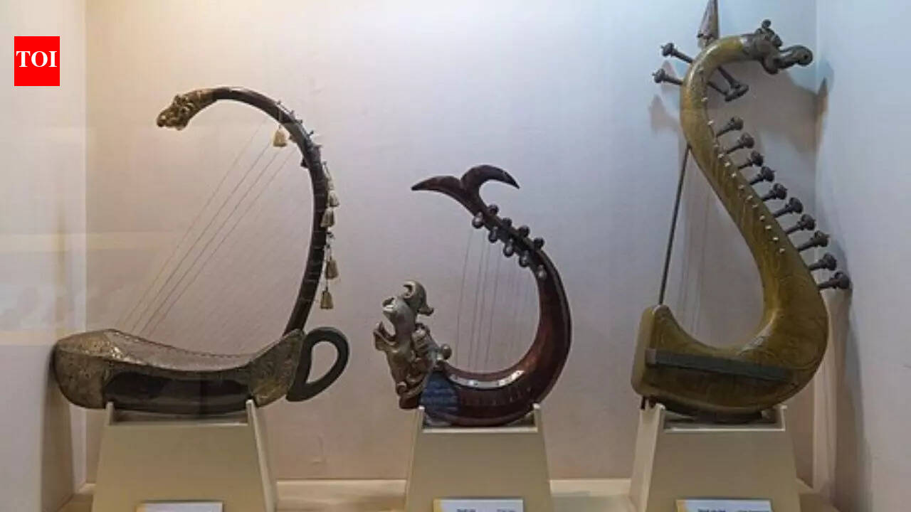 7 unique musical instruments of India | The Times of India