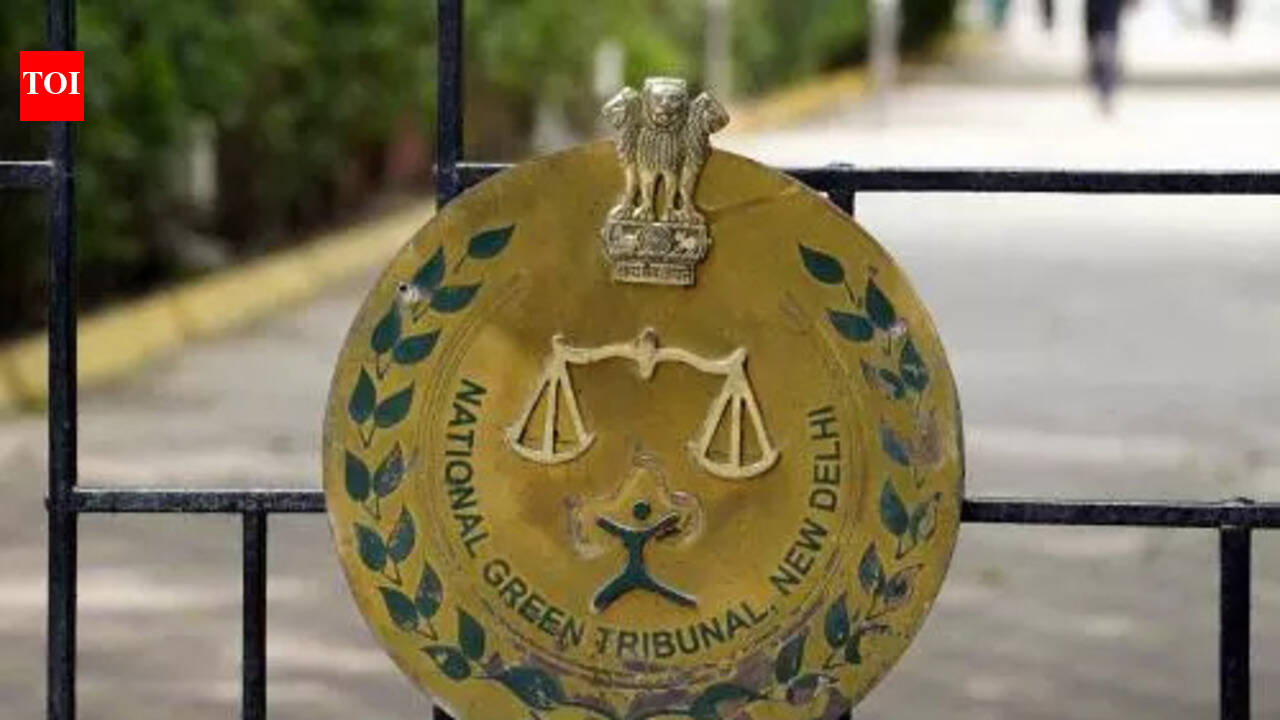 Pond filled near Wazirabad not a wetland: DDA | Delhi News - The Times ...