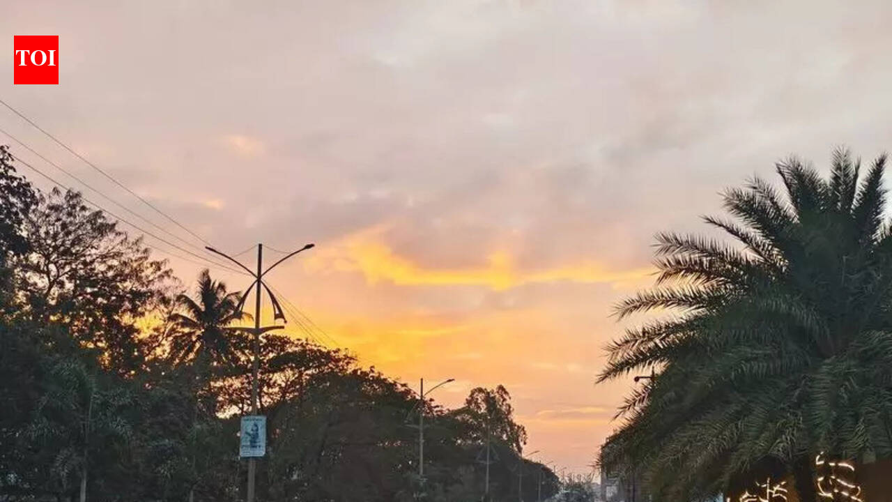 Sudden rise in minimum temperatures ends winter chill in south central ...