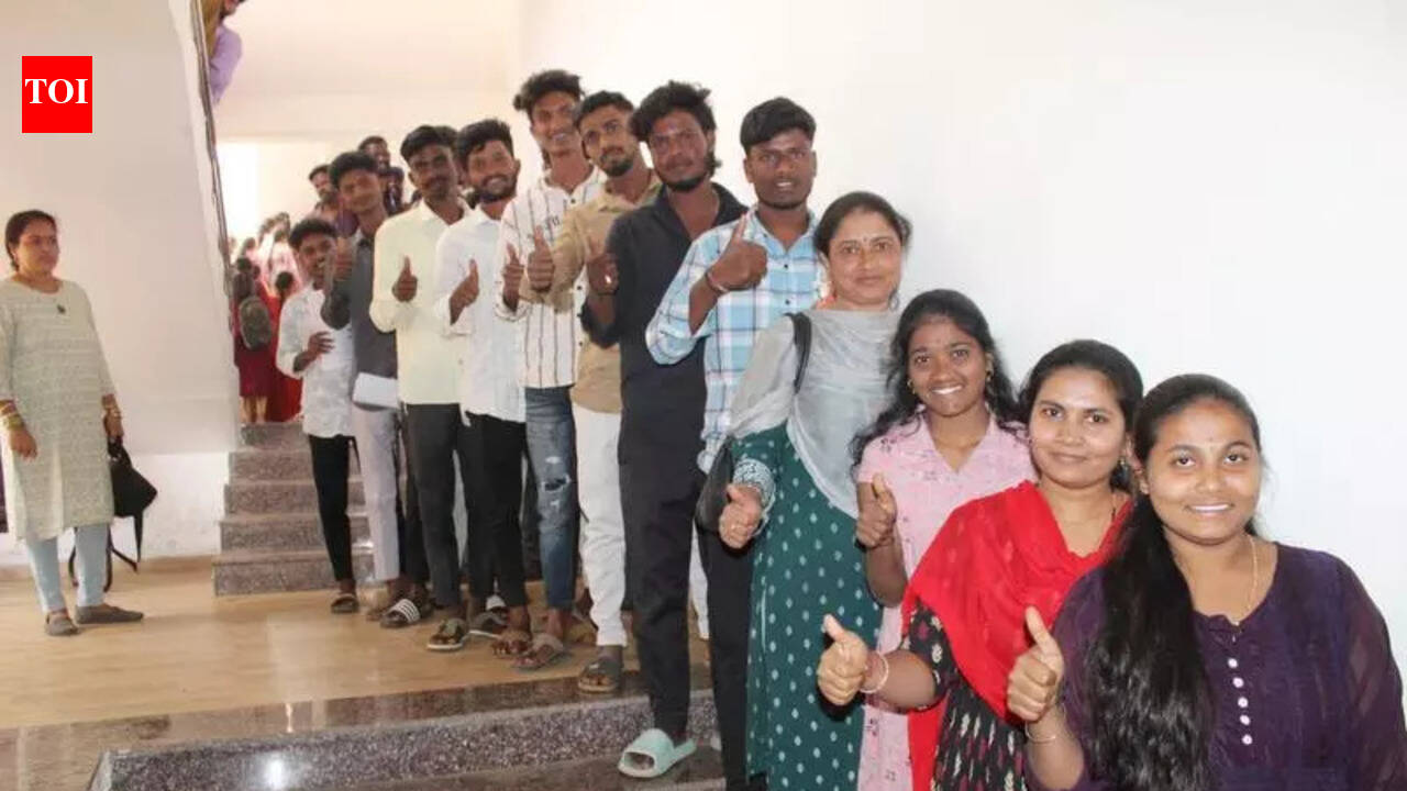 Job fair: ZP CEO encourages persistent search, skill development ...