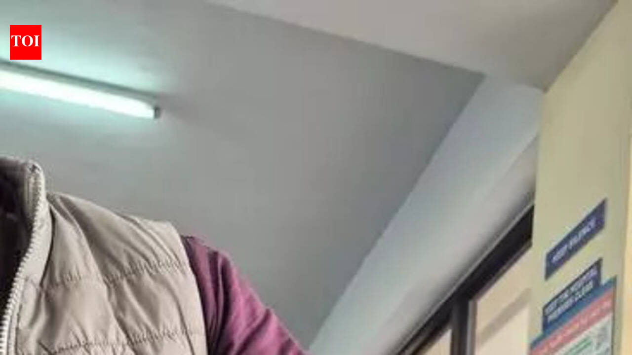 Gadvasu experts daily treat 3-4 birds injured by kite strings ...