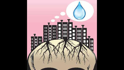 Athani to get 1,000 injection borewells for groundwater recharge ...