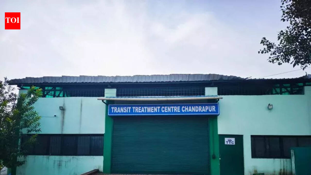 Tigers, Leopards Kept in Cramped Cages at Chandrapur TTC | Nagpur News ...