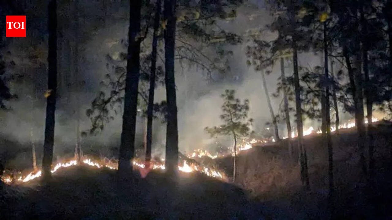 Forest department to hold forest fire week from Feb 1 to 7 across ...