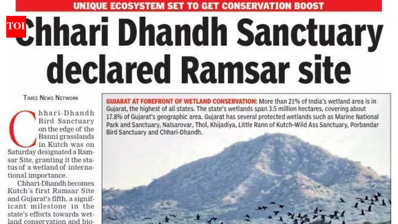 Chhari Dhandh declared Gujarat’s 5th Ramsar site | Rajkot News - The ...