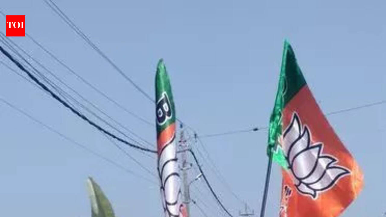 BJP activists protest, demand repair the Somwarpet state highway ...