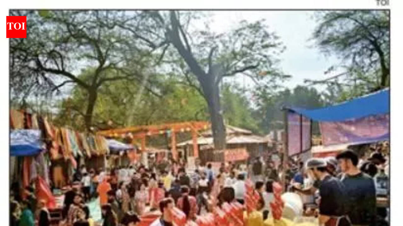 Amusement zone sealed after swing crash, but Surajkund craft fair sees ...