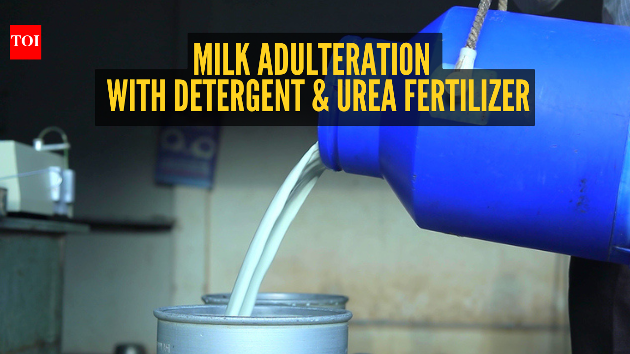 Milk Adulteration: Factory making 1800+ liters of milk daily with ...