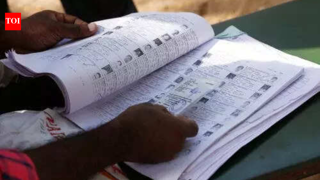 Pre-SIR mapping: Married women flagged as high-risk group in Telangana ...