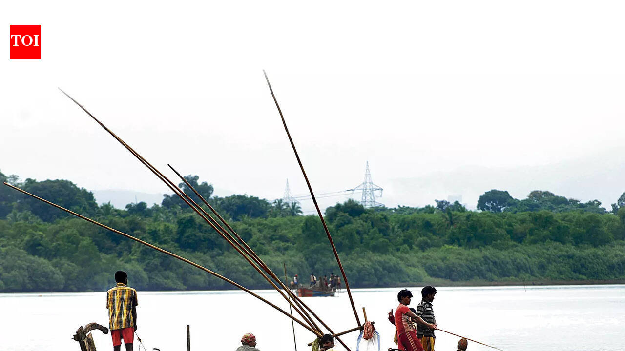 NGT extends Goa sand mining ban till April 23 | Goa News - The Times of ...