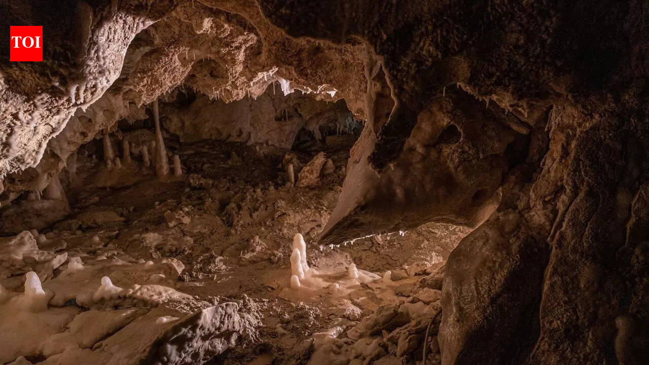6 animals that have mastered cave life and are rarely seen by humans