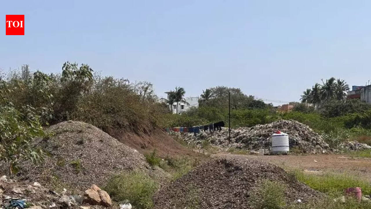 Pallavaram lake filled with garbage, encroachments | Chennai News - The ...