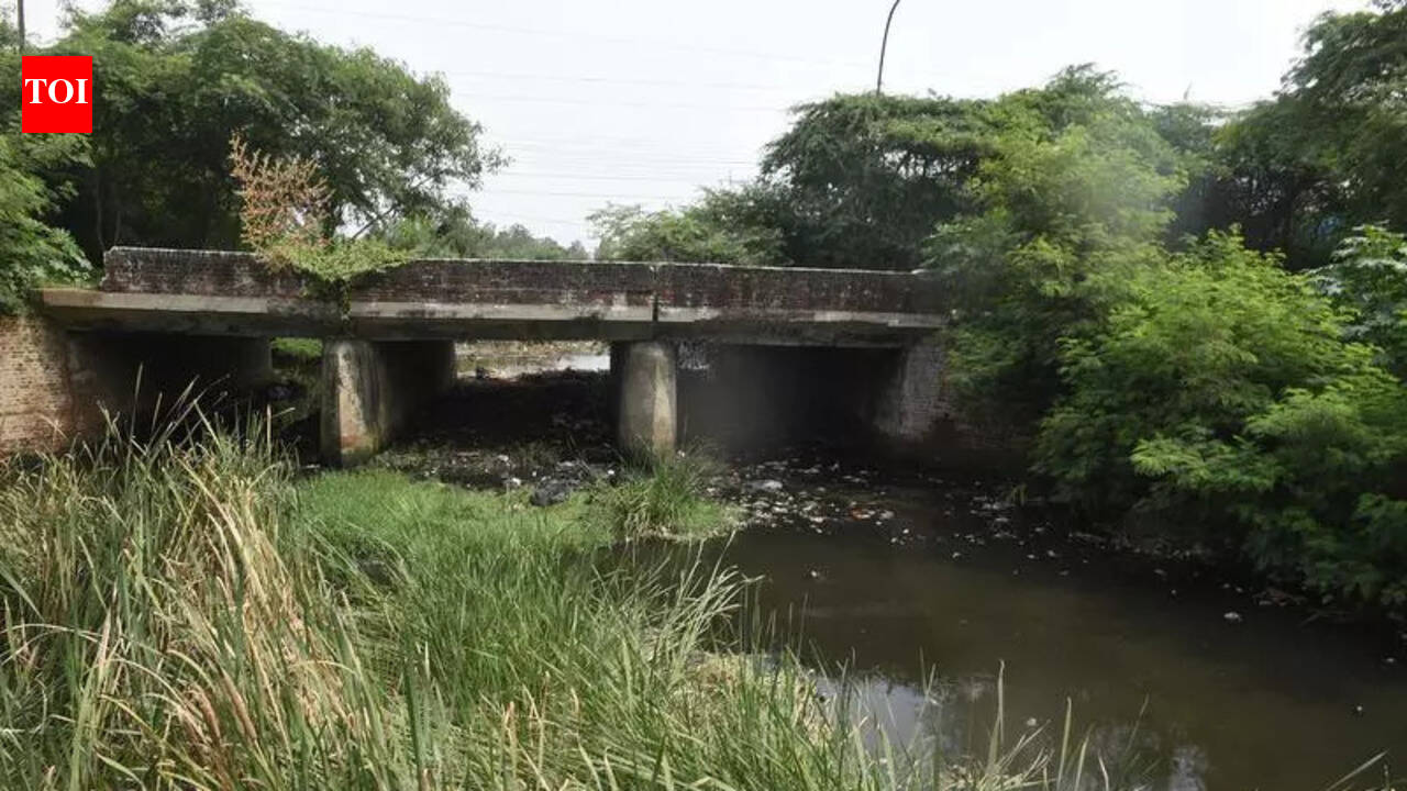 After NGT rap, GNIDA plans STP on drain emptying into Hindon | Noida ...